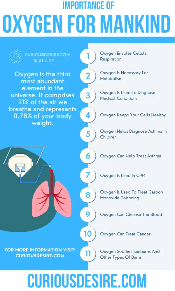 15 Reasons Why Oxygen Is Important 15 Reasons Why Oxygen Is Important